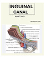 Inguinal canal anatomy handwritten notes - DocMerit