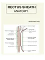 Rectus sheath anatomy handwritten notes - DocMerit