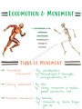 Locomotion and Movement_11th class biology notes.pdf - DocMerit