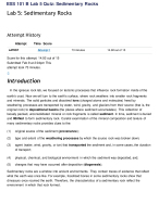 ESS 101 B Lab 5 Quiz: Sedimentary Rocks - DocMerit
