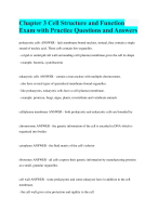 Chapter 3 Cell Structure and Function Exam with Practice Questions and ...