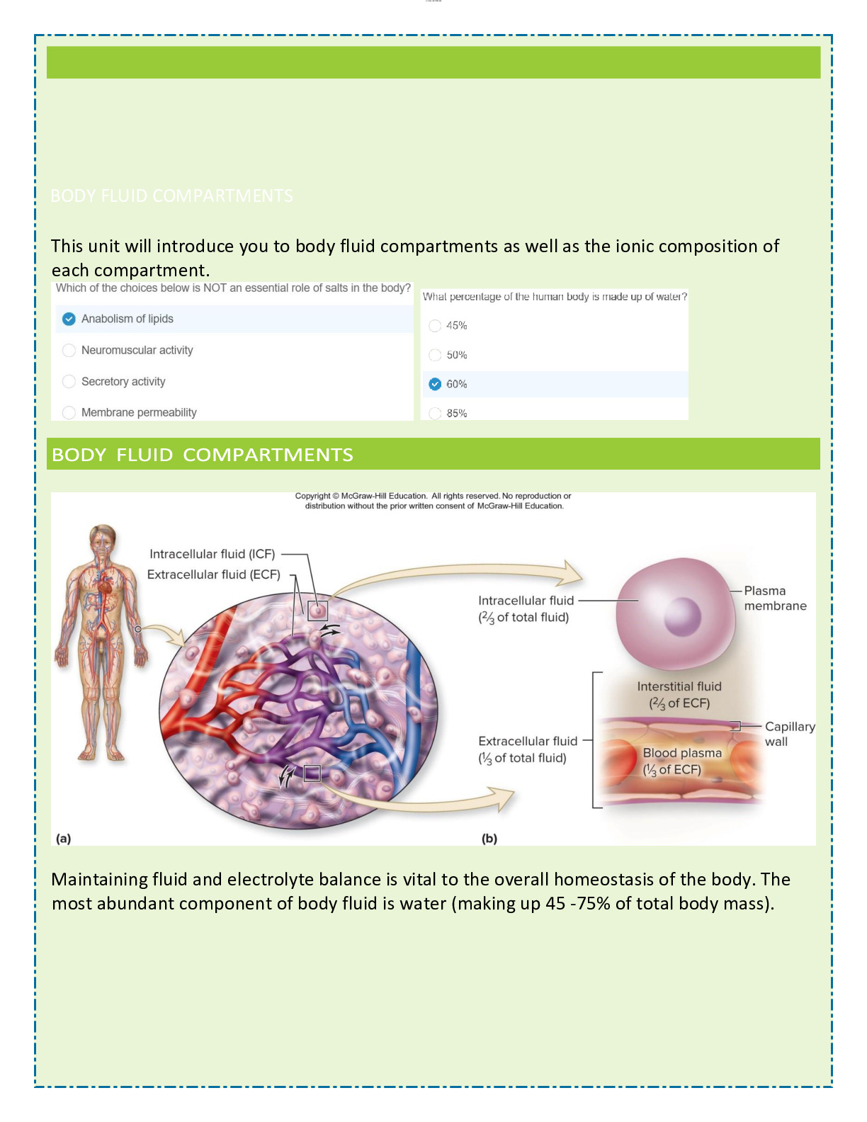 Anatomy and physiology 4 BIO 256 EDAPT Urinary system - DocMerit
