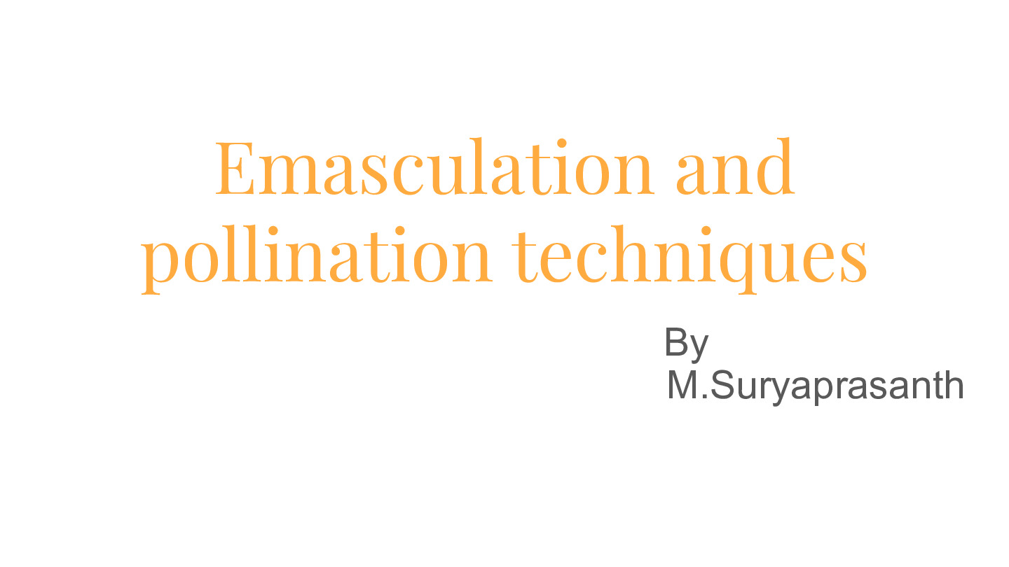 Emasculation and pollination techniques - DocMerit