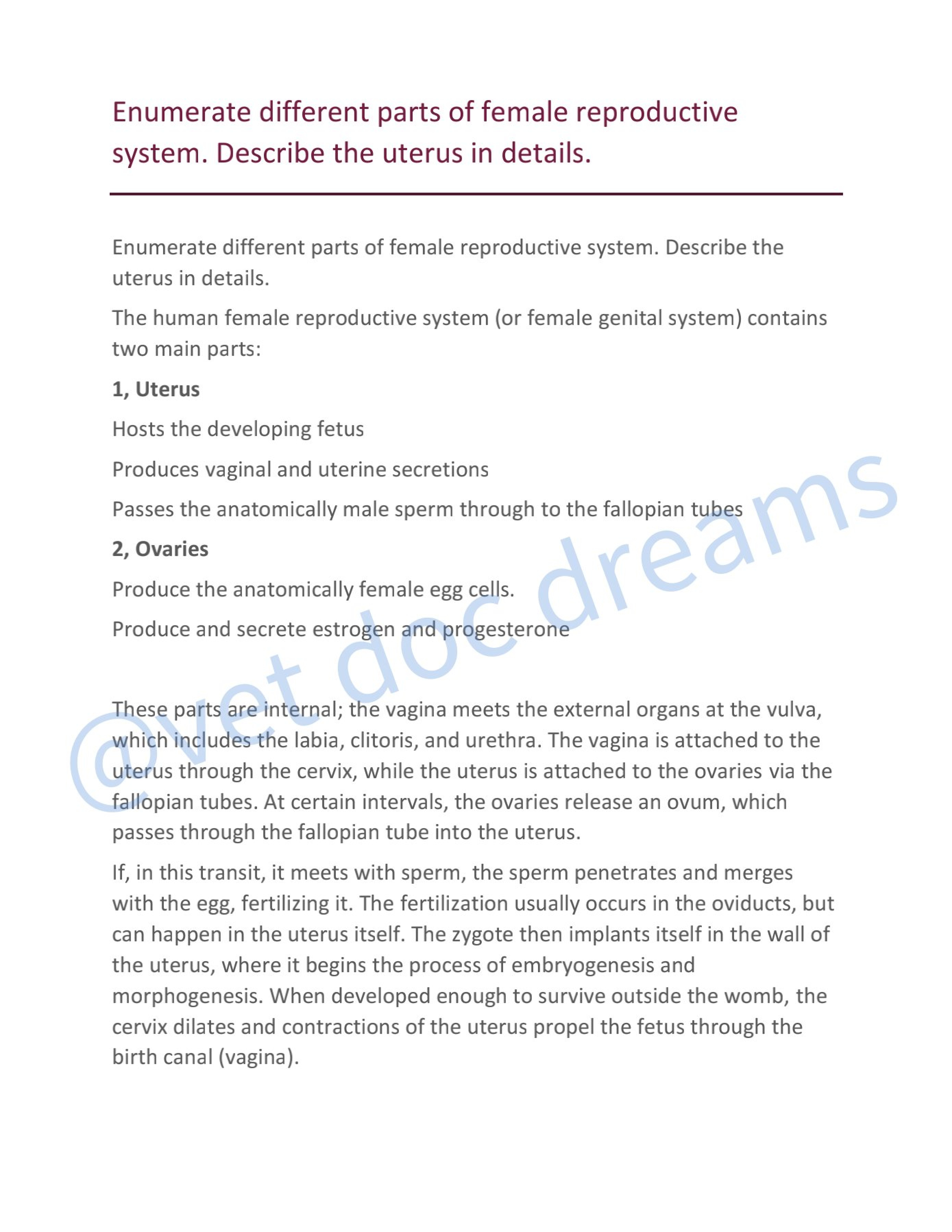 female reproductive system - DocMerit