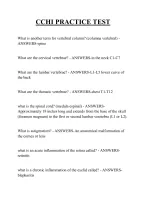 CCHI PRACTICE TEST QUESTIONS AND ANSWERS 2026 - DocMerit
