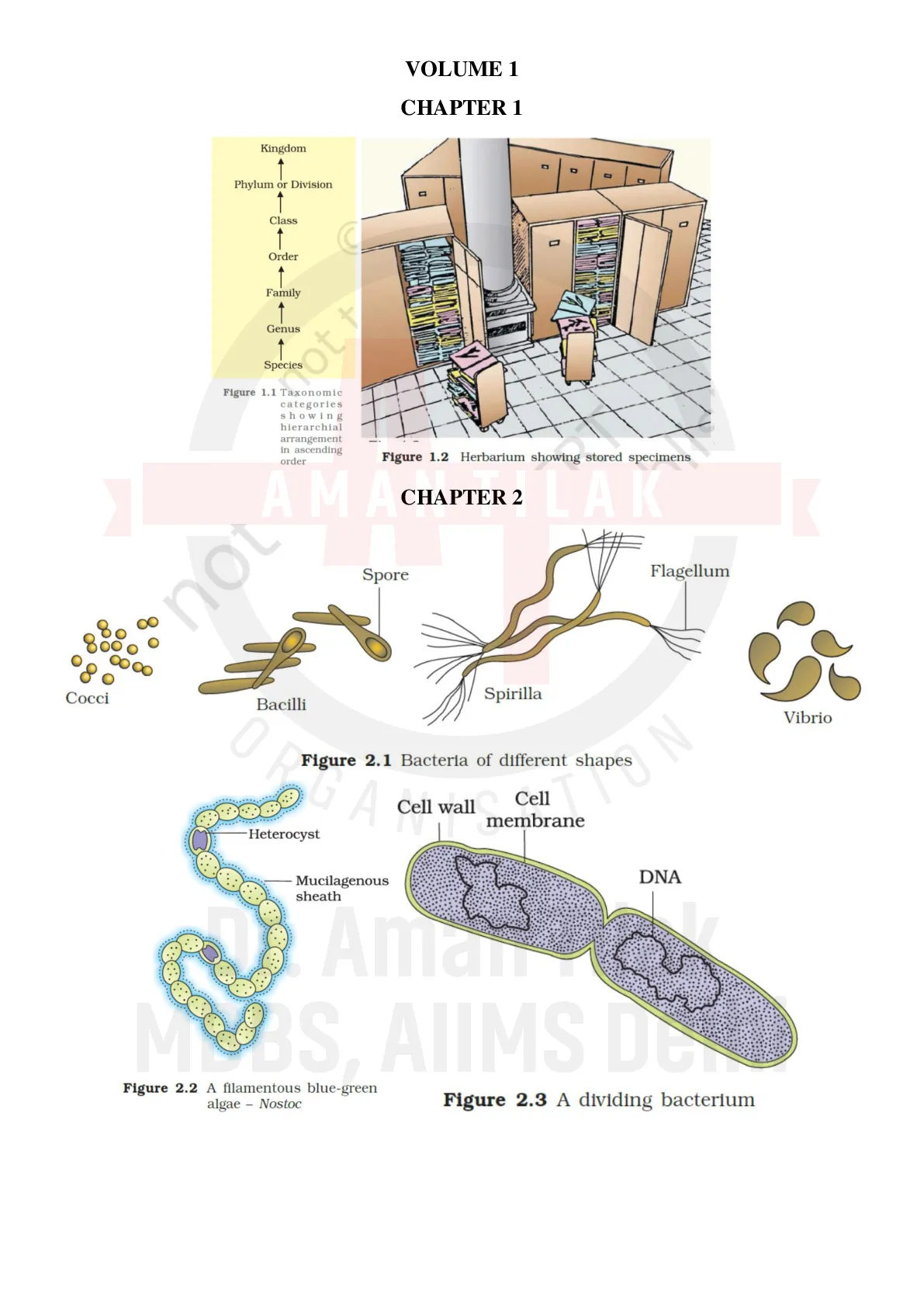 Important bio diagrams from ncert - DocMerit