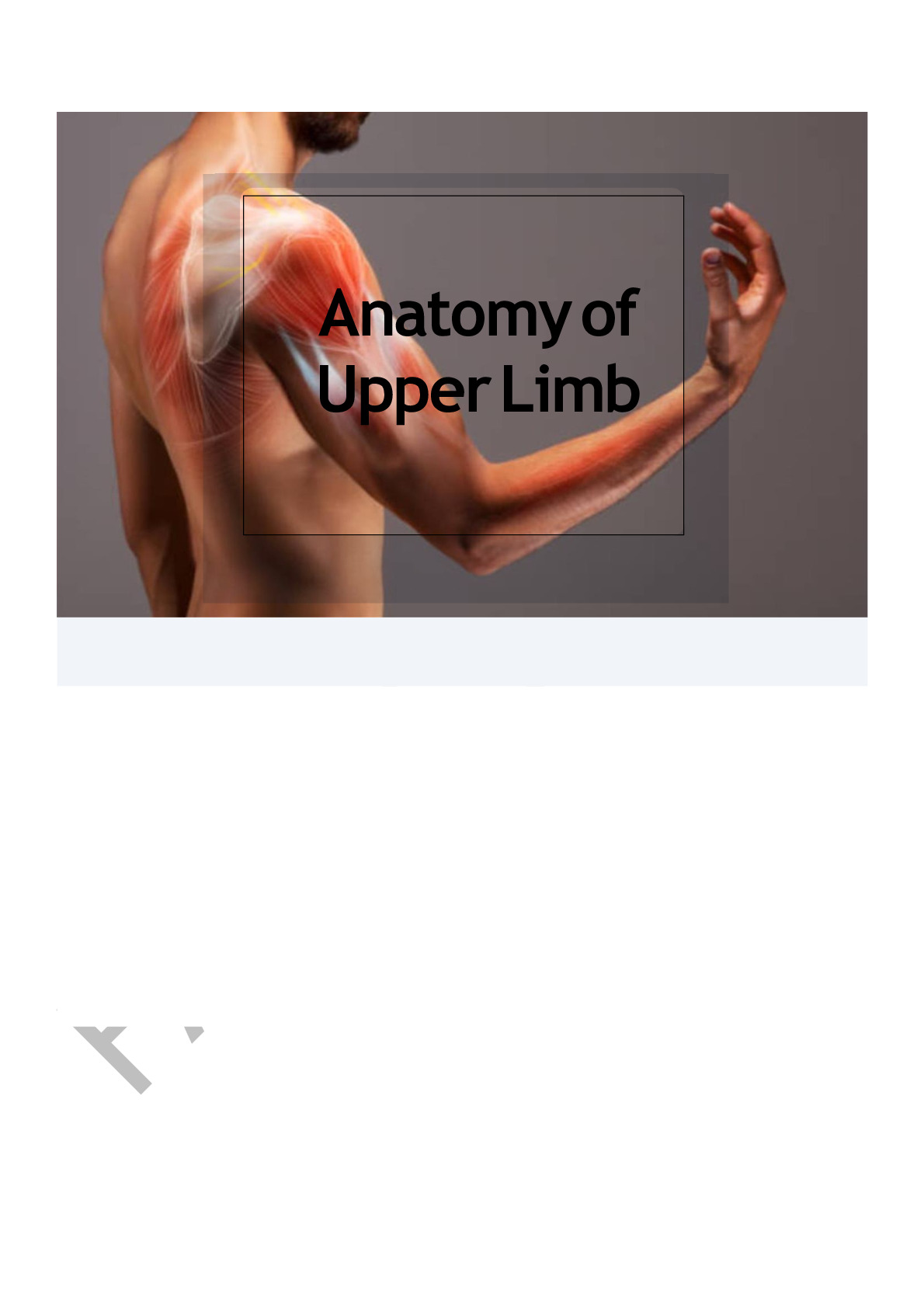 Anatomy of Upper limb - DocMerit