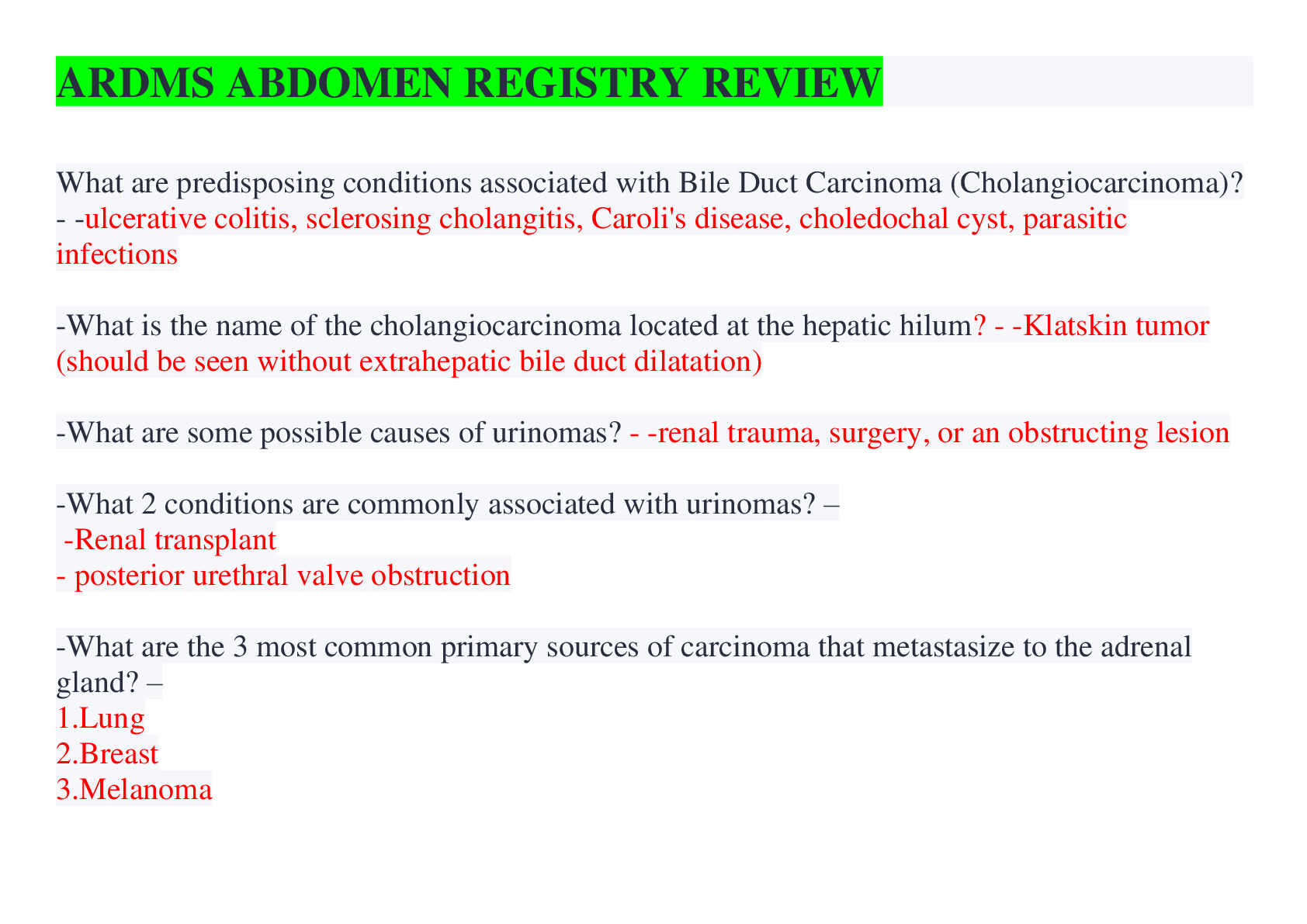 ARDMS ABDOMEN REGISTRY REVIEW LATEST SOLUTION - DocMerit