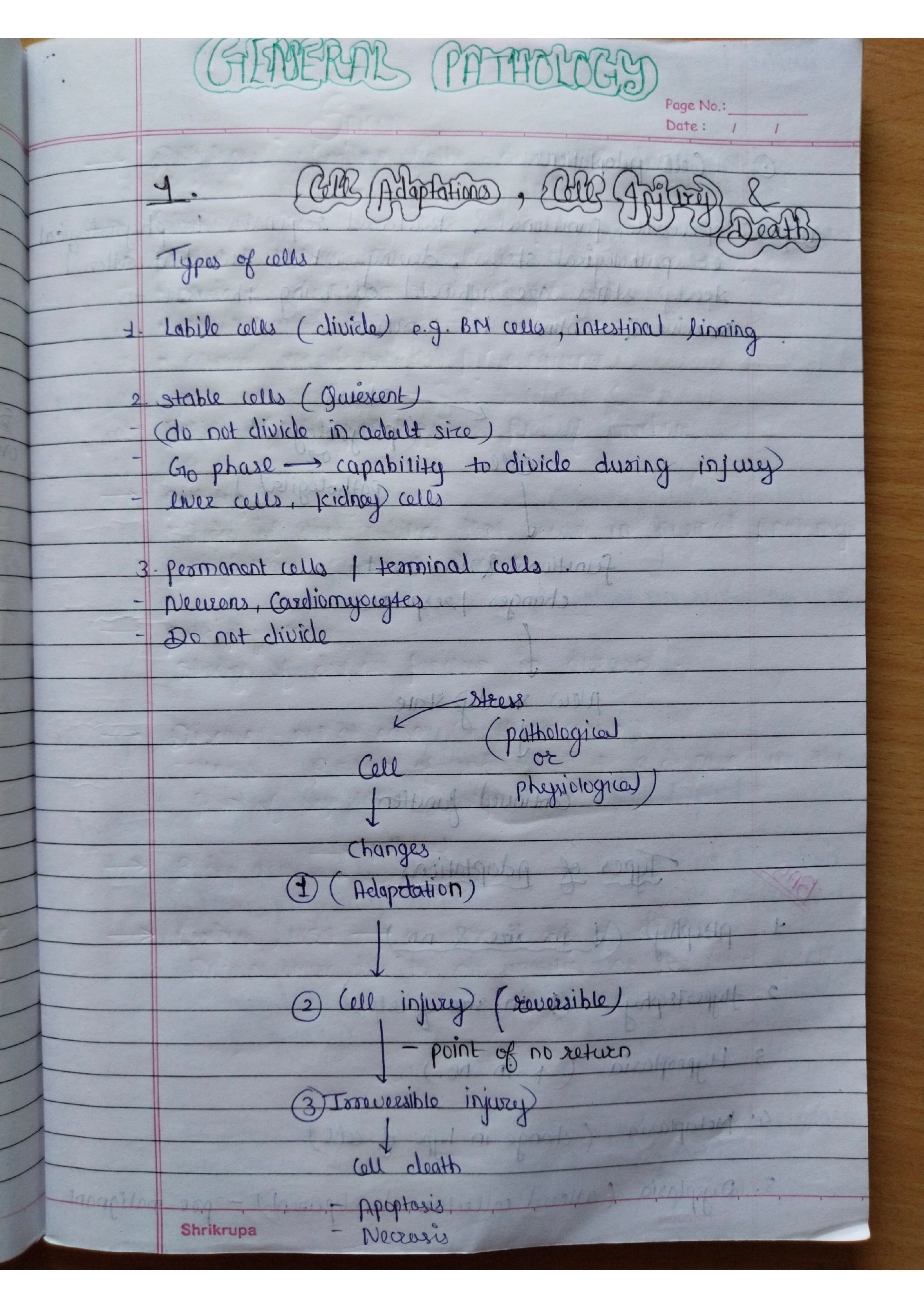 Cell Injury & Adaptations (part 1) - DocMerit