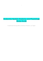 Endocrine System Anatomy and Physiology Study Guide - DocMerit