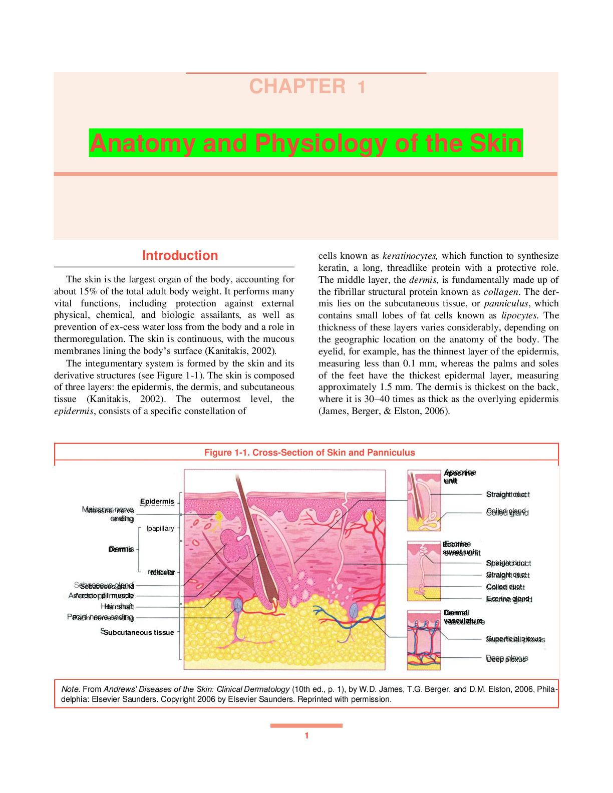 Anatomy and Physiology of the Skin - DocMerit