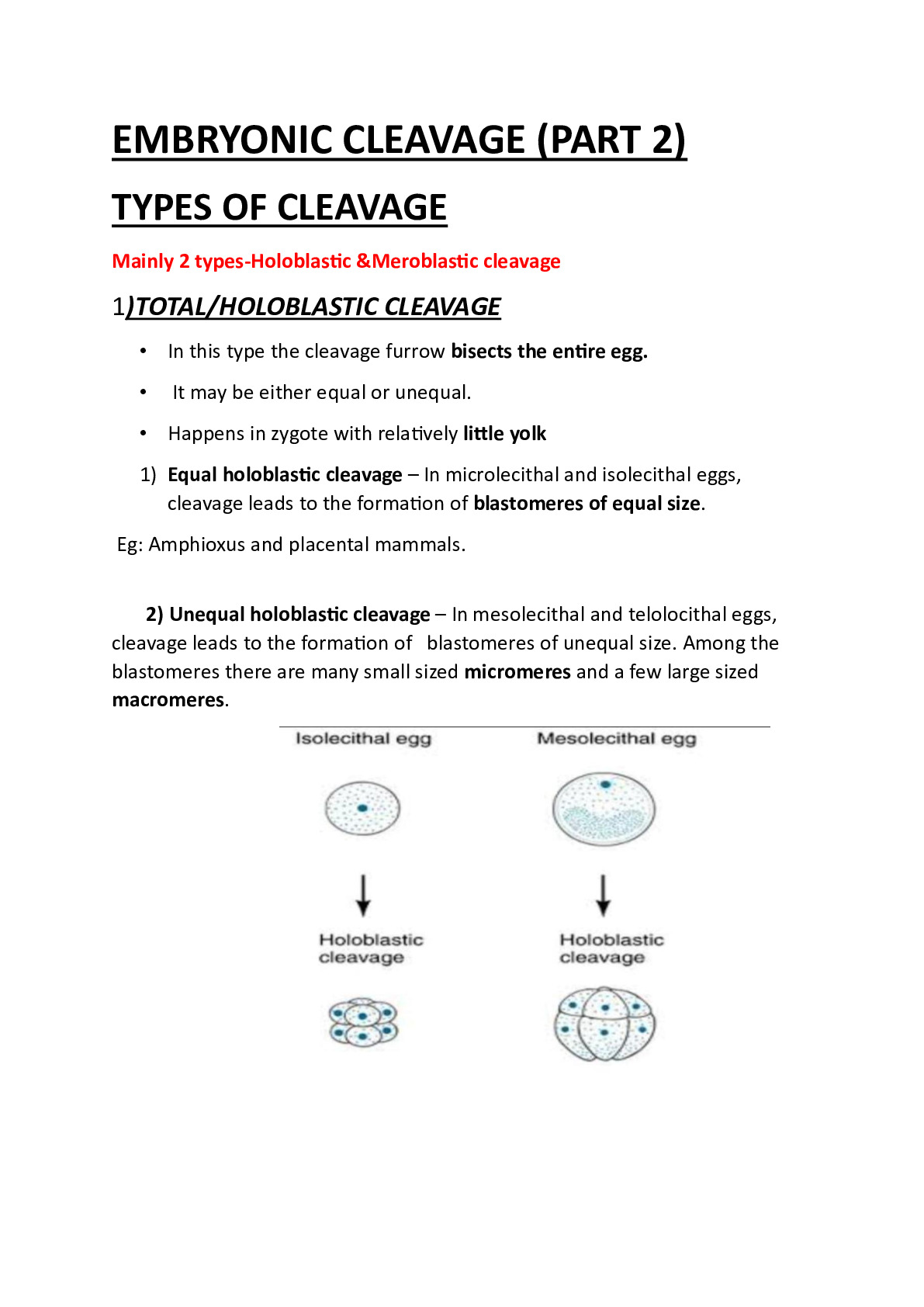 develpomental biology of animals ,cleavage in embryo,types of cleavage ...