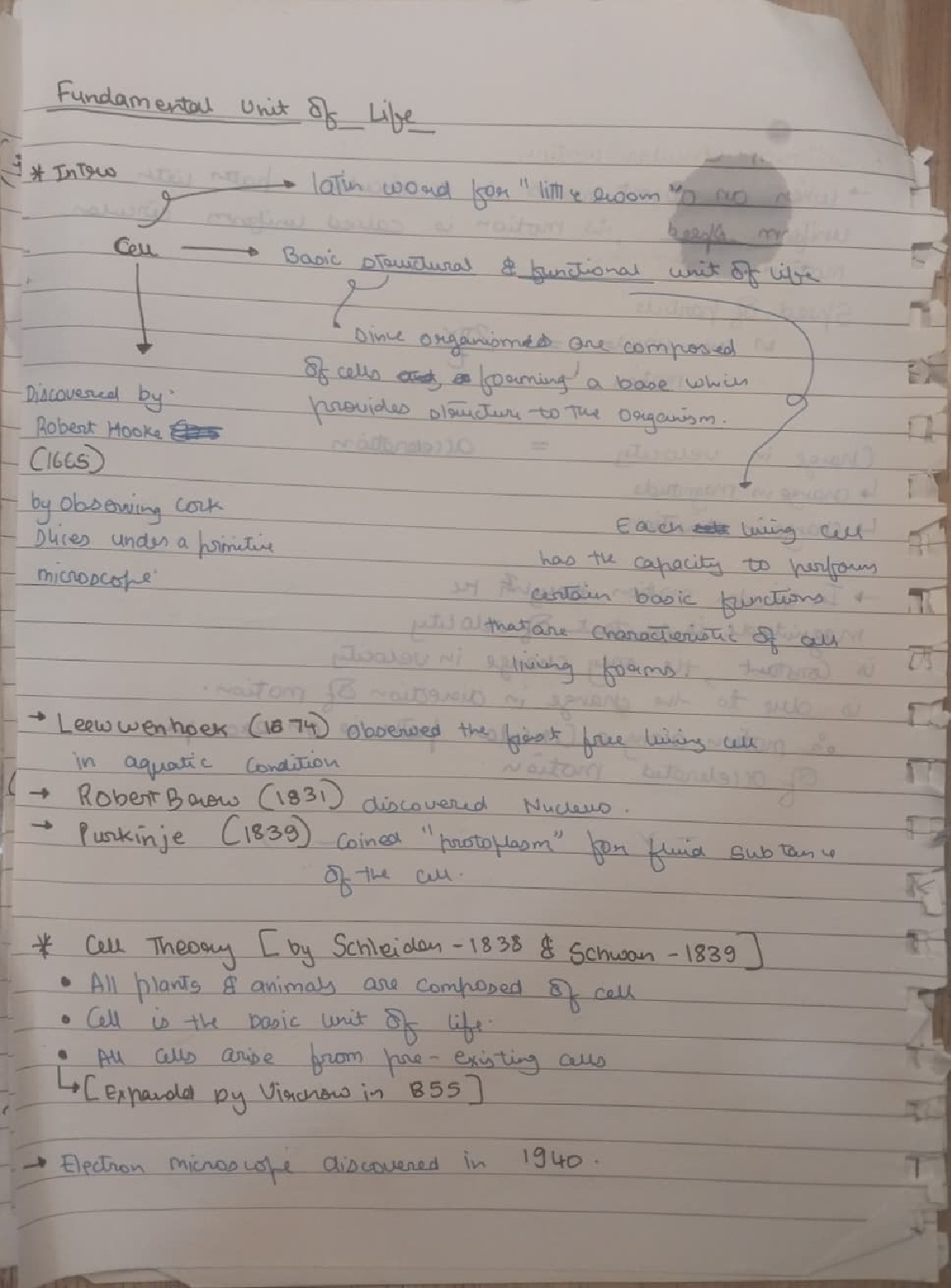 Fundamental unit of life_Class 9_CBSE notes - DocMerit
