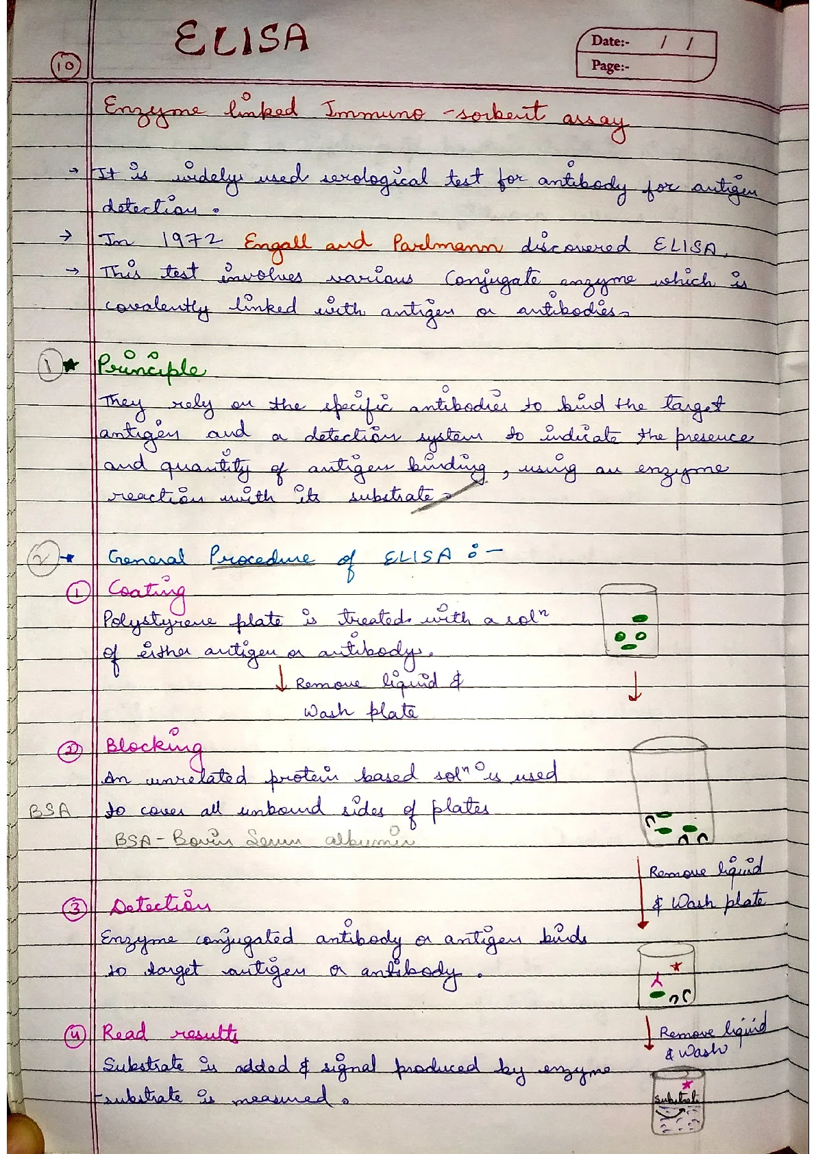 ELISA HANDWRITTEN NOTES - DocMerit