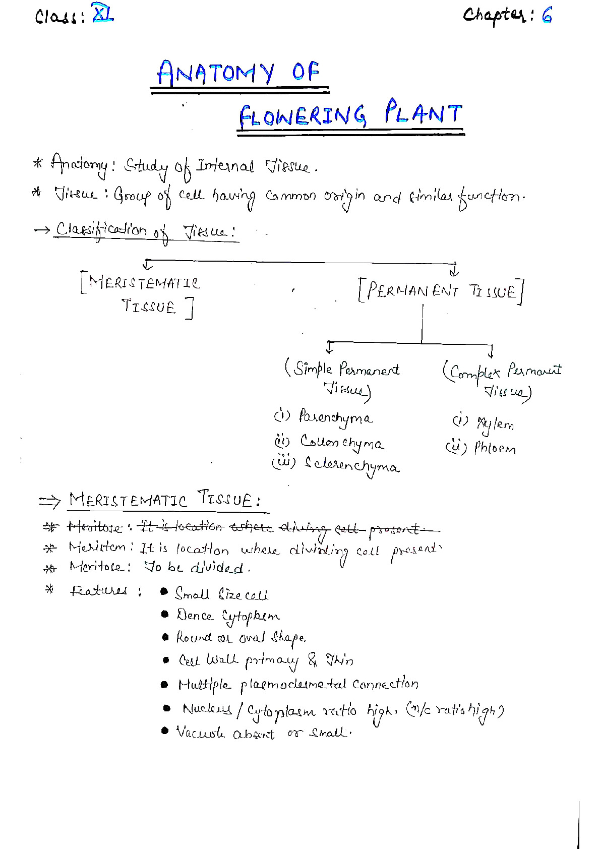 Anatomy of flowering plants notes handwriting - DocMerit