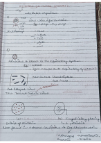 Biology Handwritten notes class 12 ( Microbes in Human Welfare) - DocMerit