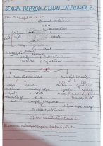 Biology Handwritten notes class 12 ( Sexual reproduction in flowering ...