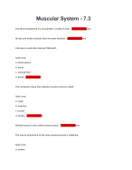 Muscular System – Multiple Choice Review with Answers – Anatomy ...