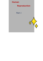 Human Reproduction (Part-1) NEET Class-12th - DocMerit