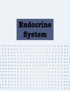 NCLEX Reviewer Notes - NCLEX Notes with Leakage - DocMerit