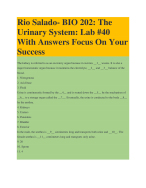 Rio Salado- BIO 202: The Urinary System: Lab #40 With Answers Focus On ...