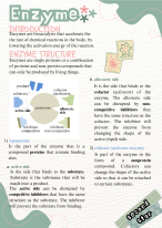 enzyme (biology high school material) - DocMerit
