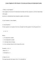 Step-by-step explained 8 th grade math-linear algebra - DocMerit