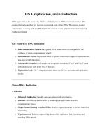 DNA Replication: Mechanism, Key Enzymes, and Process Explained - DocMerit