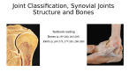 Anatomy - joint classification - DocMerit