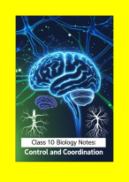 "Mastering Control and Coordination: Class 10 Biology Notes for Easy ...
