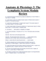 Anatomy & Physiology 2: The Lymphatic System Module Review - DocMerit
