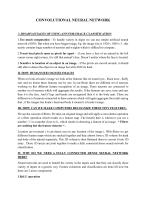 Basics of Convolutional Neural Network - DocMerit