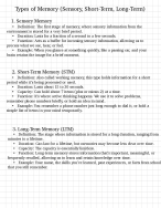 Types of Memory (Sensory, Short-Term, Long-Term) - DocMerit