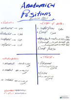 Anatomical Positions & Directions – Simplified Guide for Medical ...