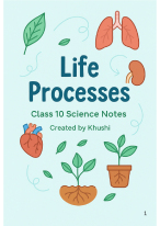 Class 10 Science - Life Processes Notes | Diagrams + Easy Explanations ...