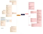 Bleeding in Early Pregnancy – Visual Mind Map Guide - DocMerit