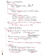 "Digestion of Carbohydrates, Proteins & Fats – Enzyme Chart & Summary ...