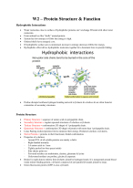 Biochemistry - Protein Structure & Function - DocMerit