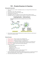 Biochemistry - Protein Structure and Function - DocMerit