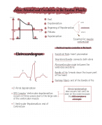 Cardiac Action Potential, Conduction System, ECG & Blood Circulation ...
