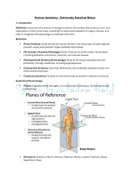 Complete Human Anatomy Notes — Diagrams, Tables and High-Yield ...