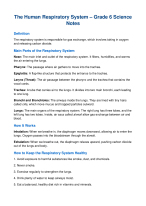 Human Respiratory System | Grade 6 Science Class Notes and Revision ...