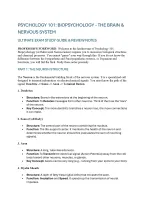 Psychology 101: Biopsychology - The Brain and Nervous System - Ultimate ...