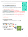 Stomata and Transpiration Virtual Lab| Answer Key - DocMerit
