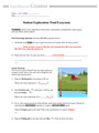Gizmos Student Exploration: Pond Ecosystem Answer Key - DocMerit