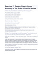 Exercise 17 Review Sheet - Gross Anatomy of the Brain & Cranial Nerves ...