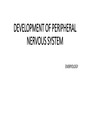 Embryology of the nervous system - DocMerit