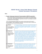 NR305 Week 6 Anna Sink iHuman Virtual Patient Encounter Worksheet - DocMerit
