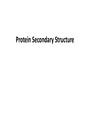 biochemistry protein structure 3 - DocMerit