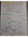PLANT KINGDOM"// "HANDWRITTEN NOTES"// "SHORT NOTES ANND CLASS NOTES ...